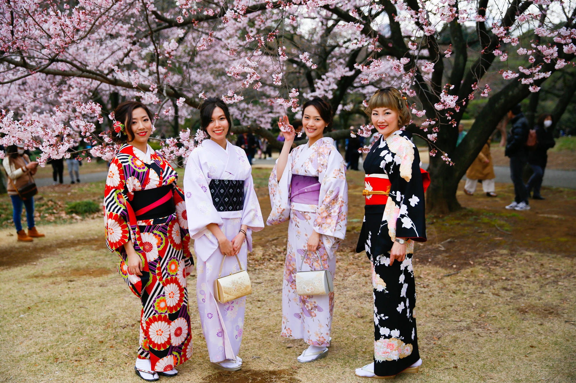 Ohanami 2018: Kimono experience & Chidorigafuchi Boat お花見2018： 着物体験と ...